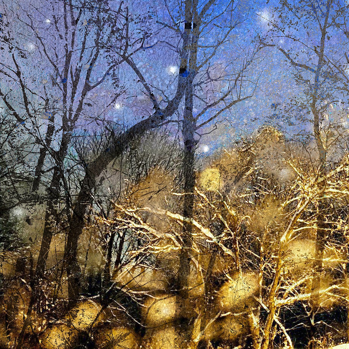 Mix Media artist showing in the Adirondacks | View Arts Center