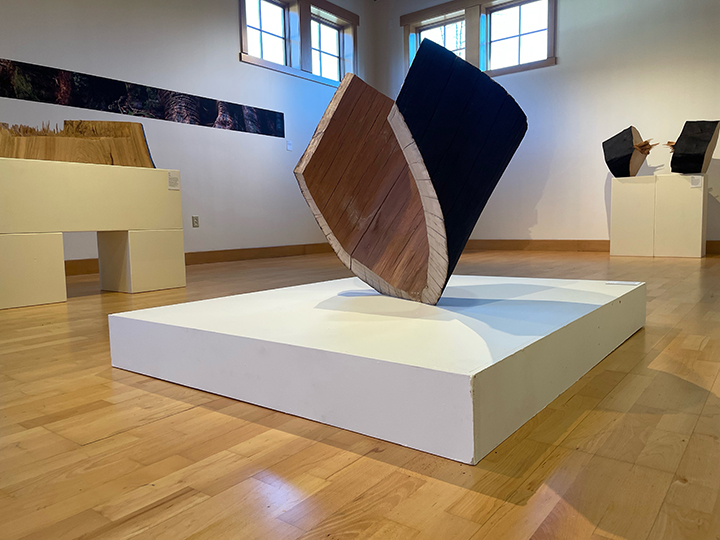 Precaria: Disturbance and Dislocation | View Arts Center