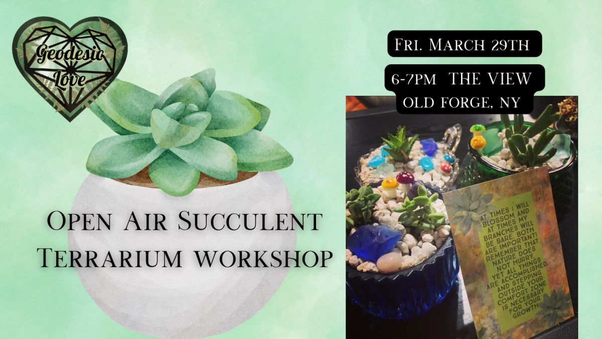 Open Air Succulent Terrarium Workshop | View Arts Center