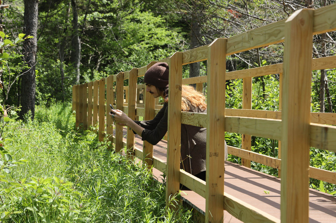 Scenic Trail in Old Forge, NY | View Arts Center